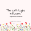 11 Flower Quotes For Kids - LittleYellowStar