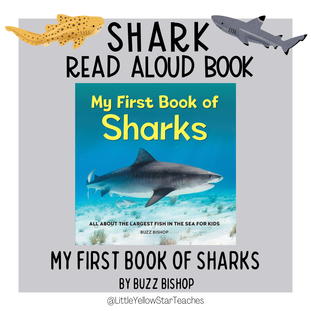11 Shark Books For Kids - LittleYellowStar