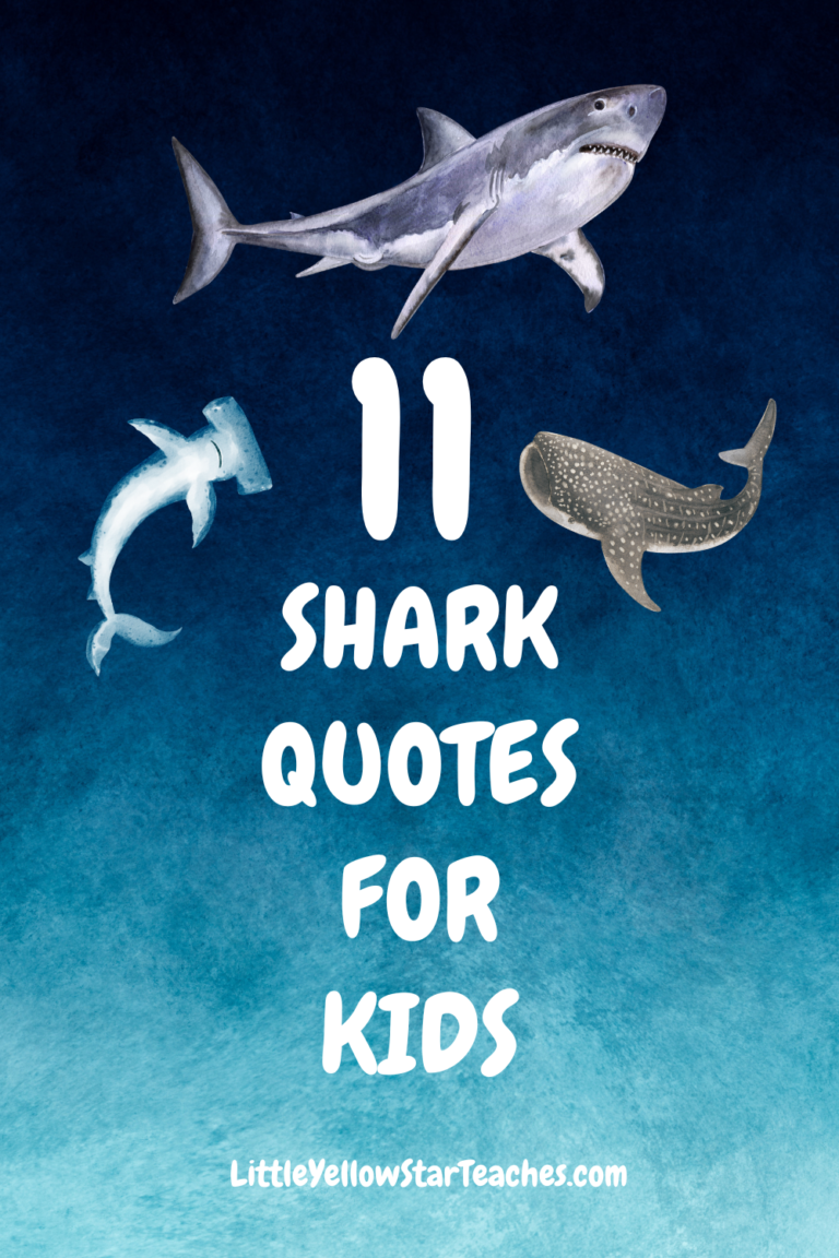 11 Shark Quotes For Kids - LittleYellowStar