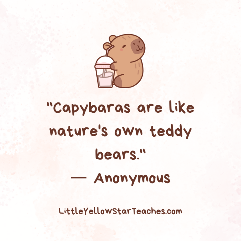 11 Capybara Quotes For Kids - LittleYellowStar