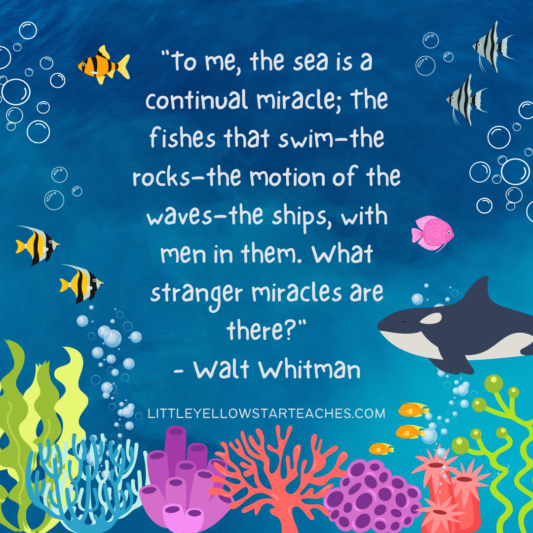 11 Ocean Quotes For Kids - LittleYellowStar