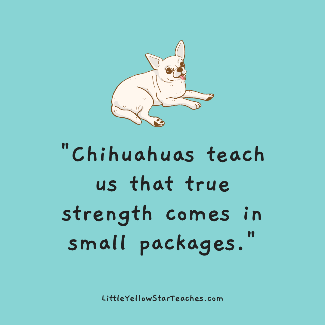 11 Chihuahua Quotes for Kids - LittleYellowStar