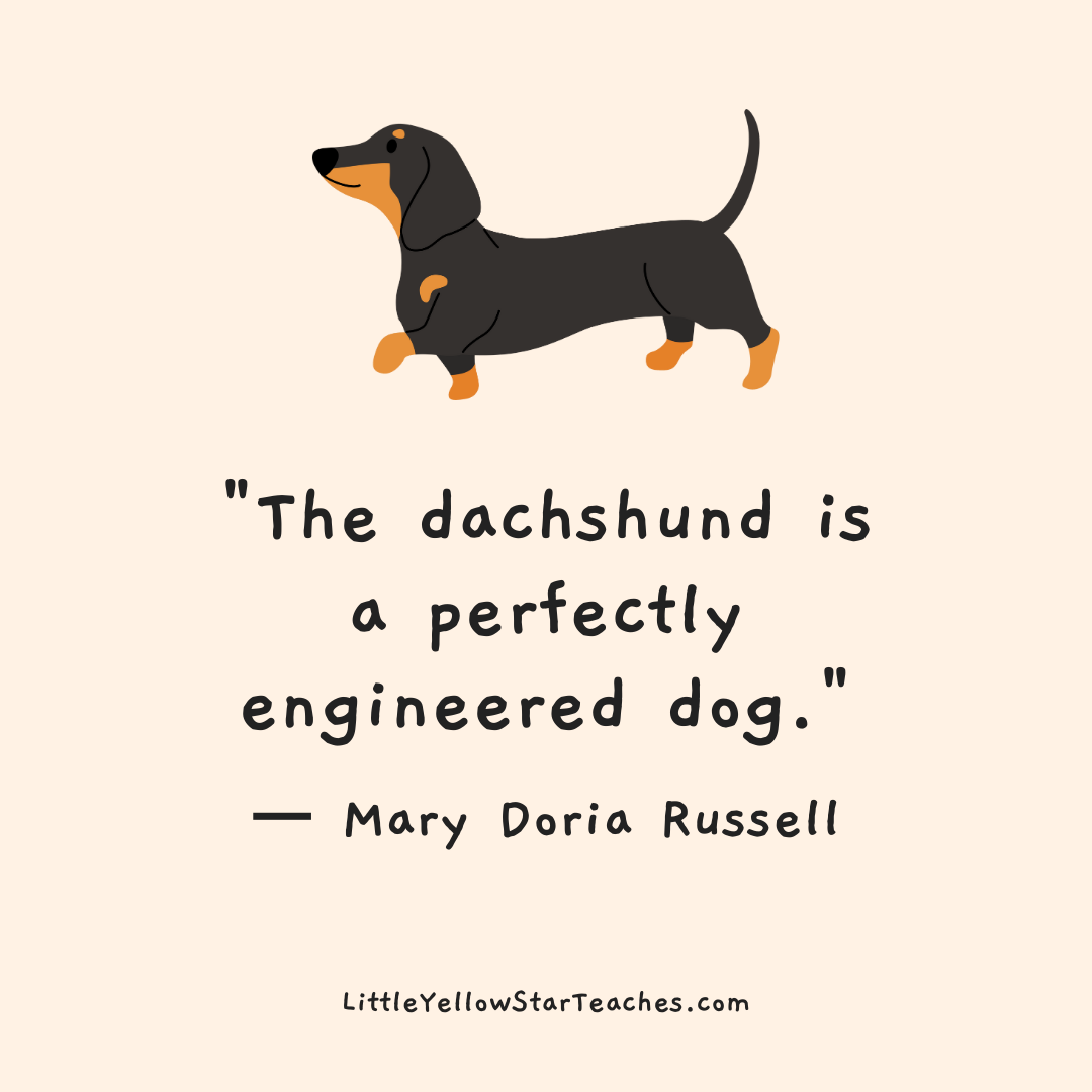 11 Dachshund Quotes for Kids - LittleYellowStar