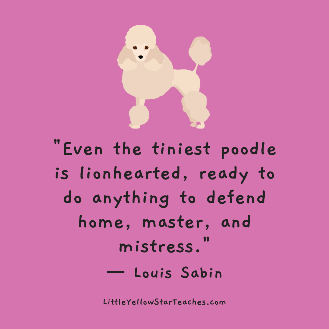 11 Poodle Quotes for Kids - LittleYellowStar