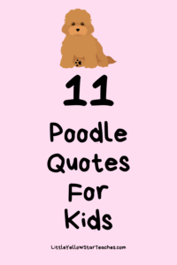11 Poodle Quotes for Kids - LittleYellowStar