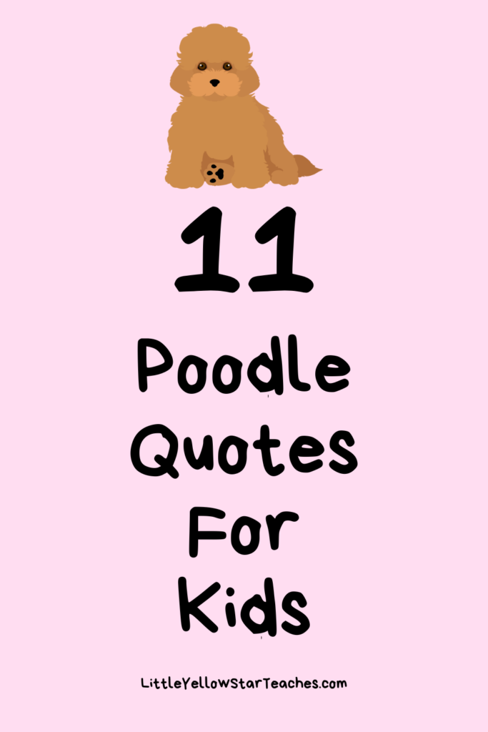 11 Poodle Quotes for Kids - LittleYellowStar