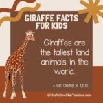 11 Giraffe Facts for Kids - LittleYellowStar