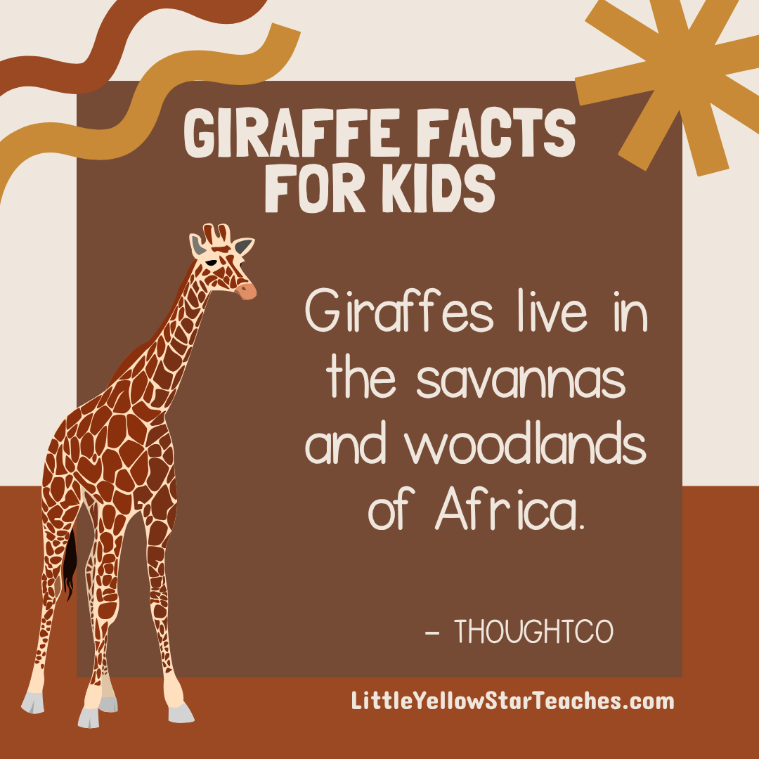 11 Giraffe Facts for Kids - LittleYellowStar