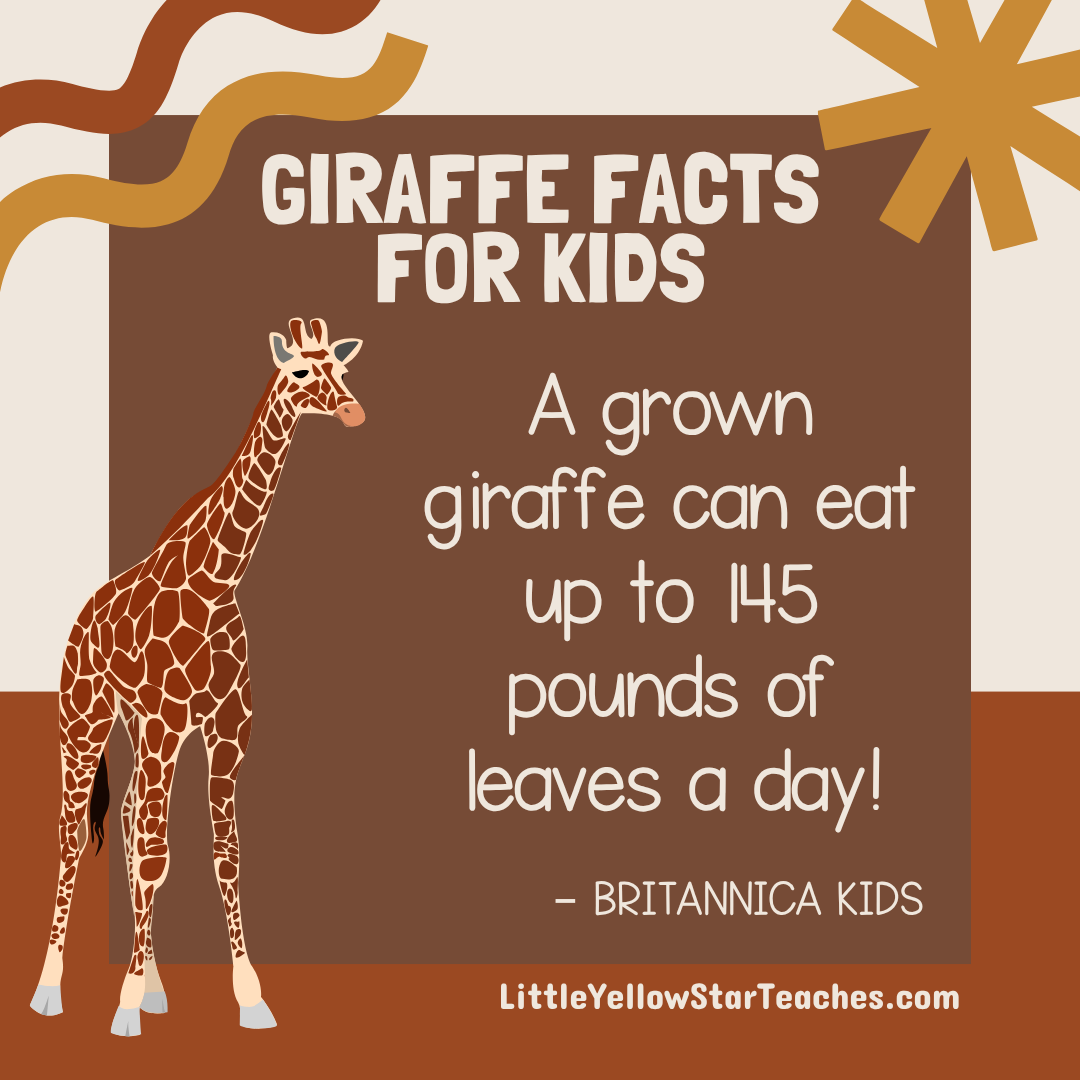 11 Giraffe Facts for Kids - LittleYellowStar