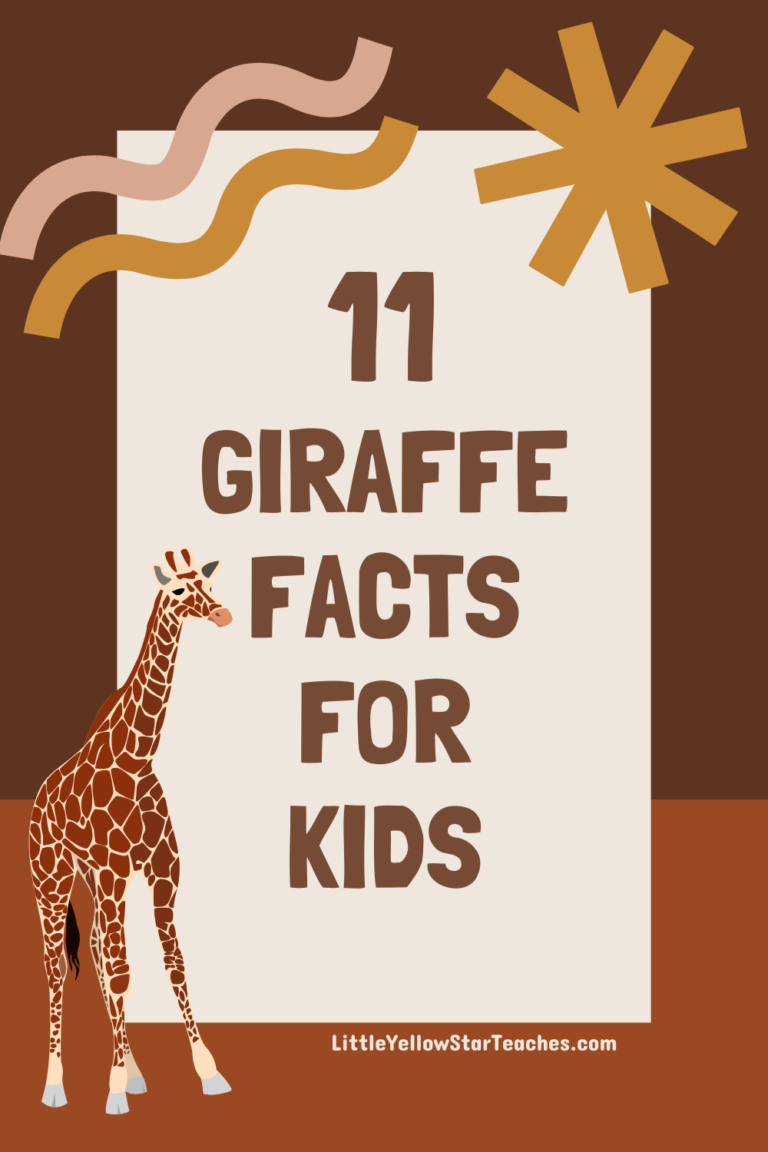 11 Giraffe Facts for Kids - LittleYellowStar