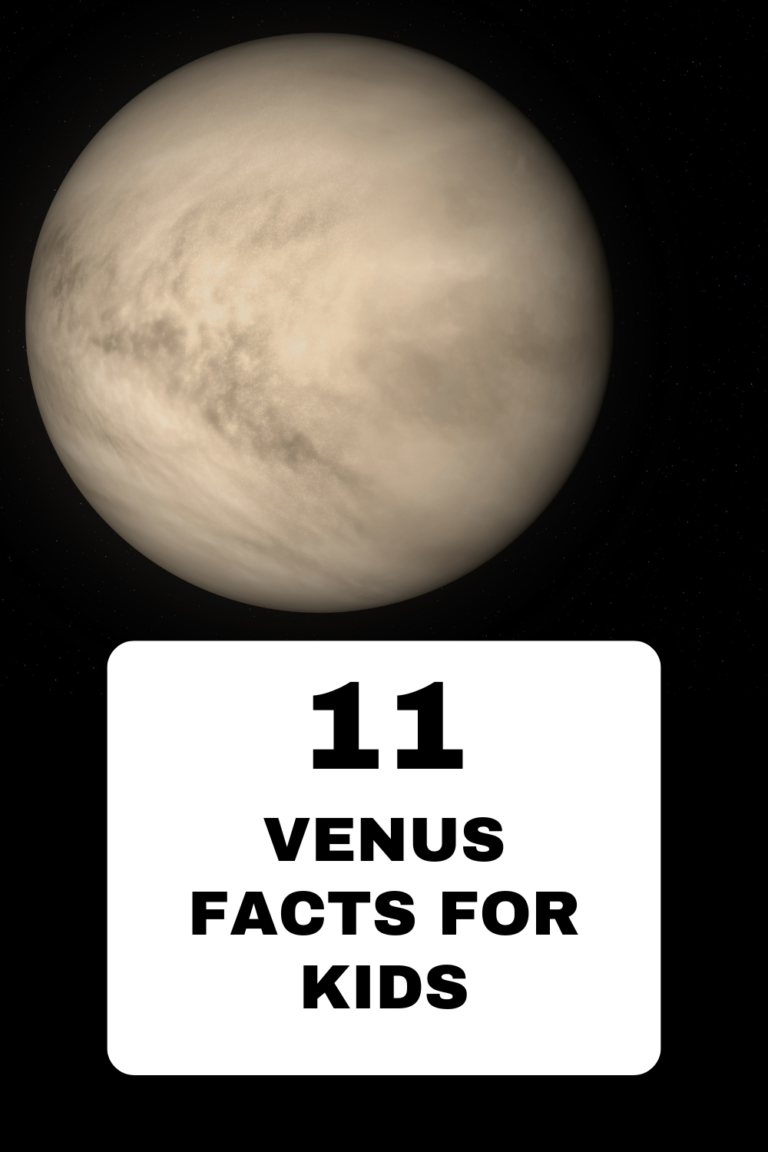 11 Venus Facts for Kids - LittleYellowStar