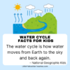 11 Water Cycle Facts for Kids - LittleYellowStar