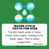 11 Water Cycle Facts for Kids - LittleYellowStar
