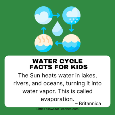11 Water Cycle Facts for Kids - LittleYellowStar