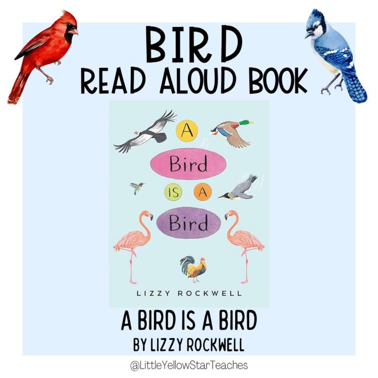 11 Bird Books for Kids - LittleYellowStar
