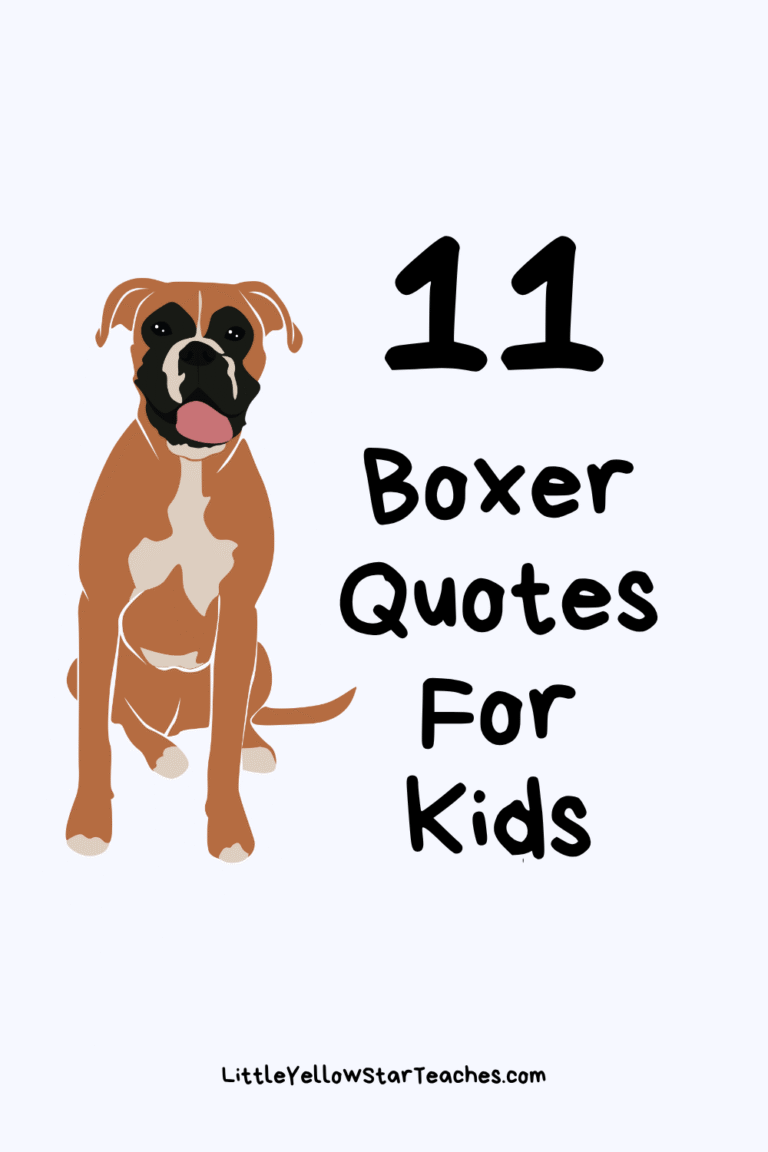 11 Boxer Quotes For Kids - LittleYellowStar