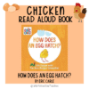 11 Chicken Books for Kids - LittleYellowStar