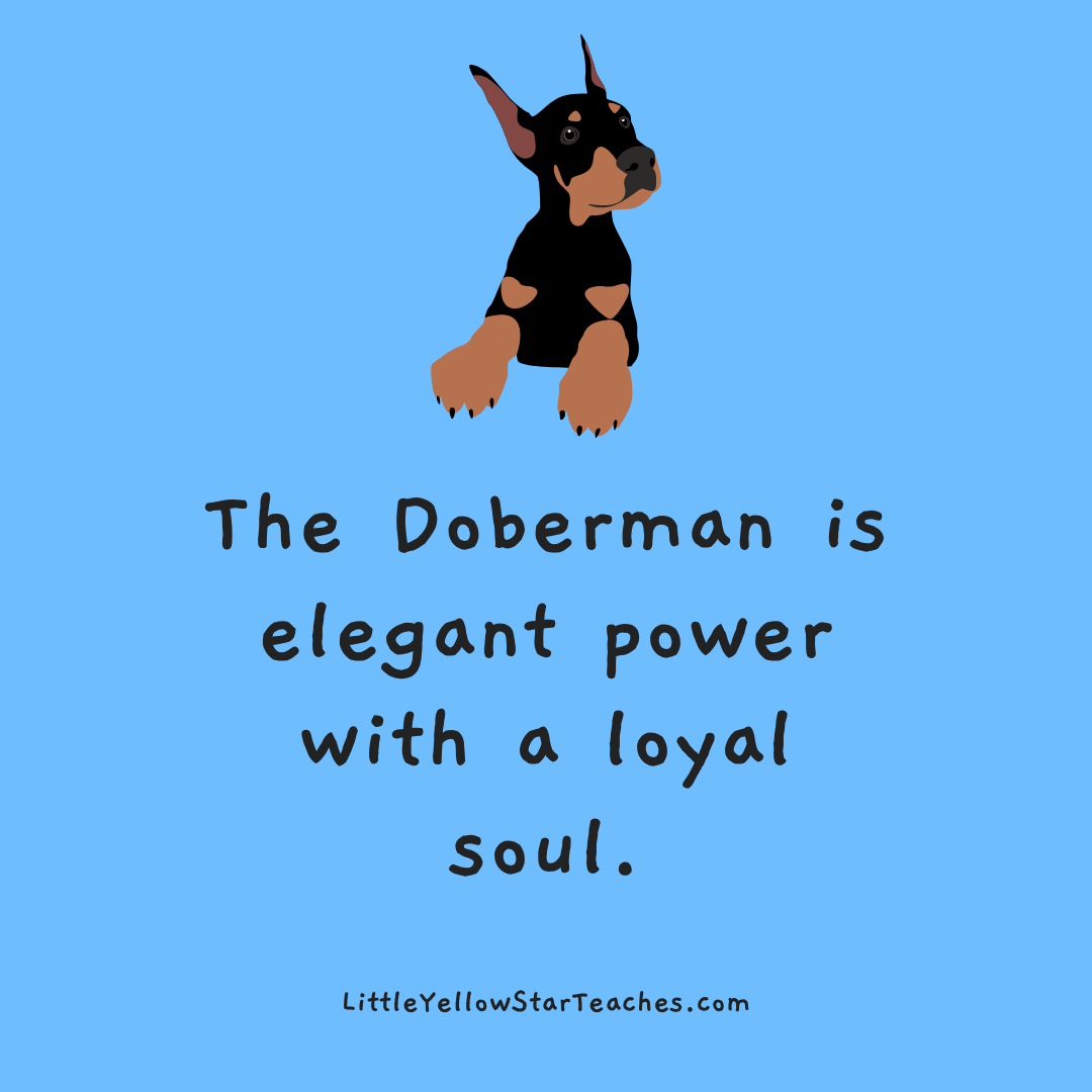 11 Doberman Quotes for Kids - LittleYellowStar