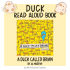 11 Duck Books for Kids - LittleYellowStar