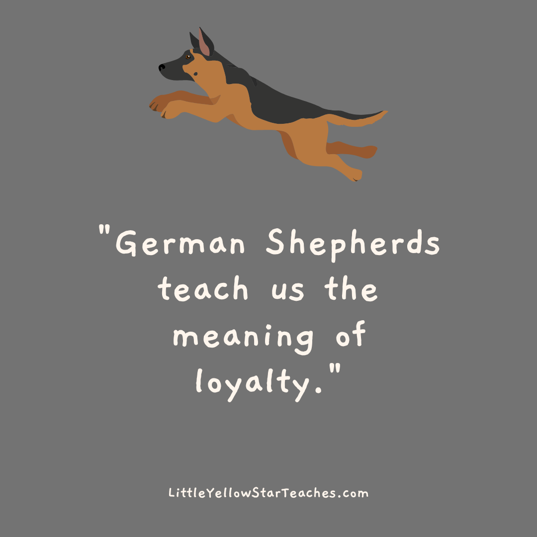 11 German Shepherd Quotes for Kids - LittleYellowStar