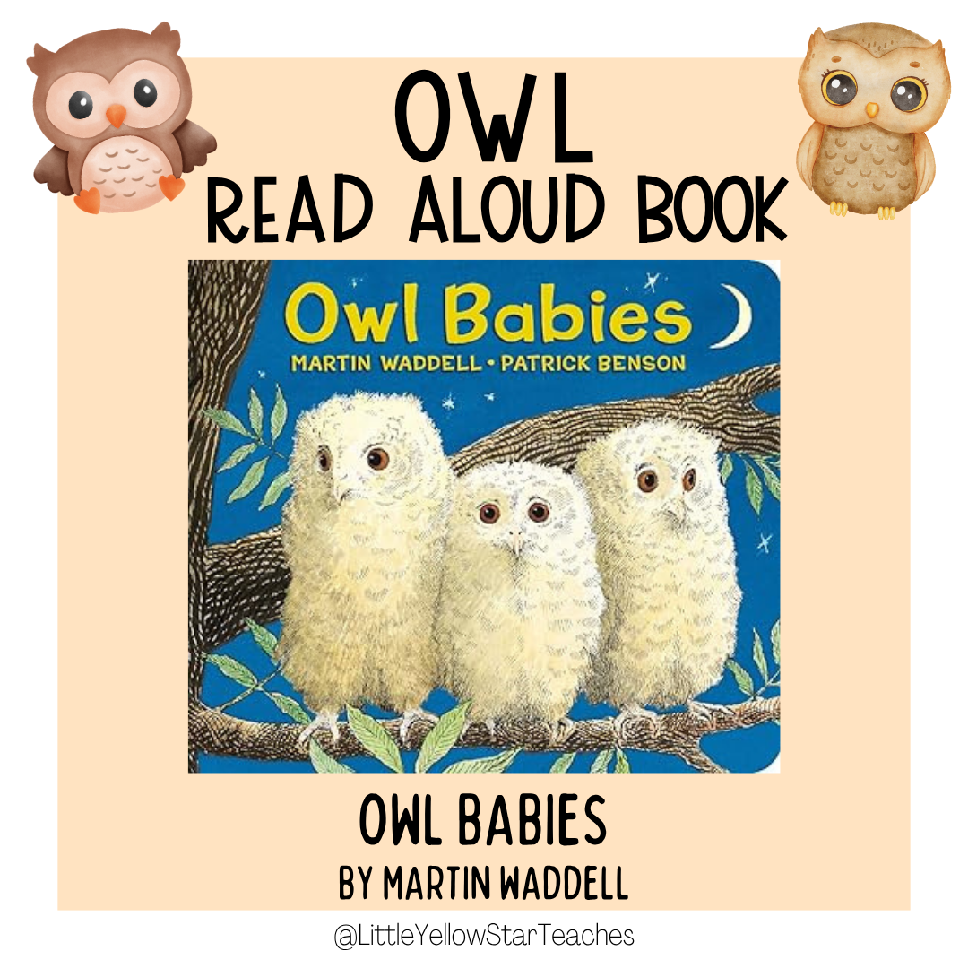 11 Owl Books for Kids - LittleYellowStar