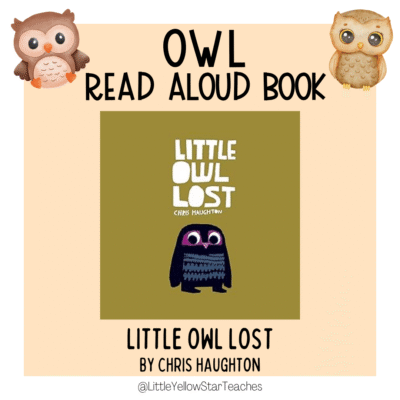 11 Owl Books for Kids - LittleYellowStar