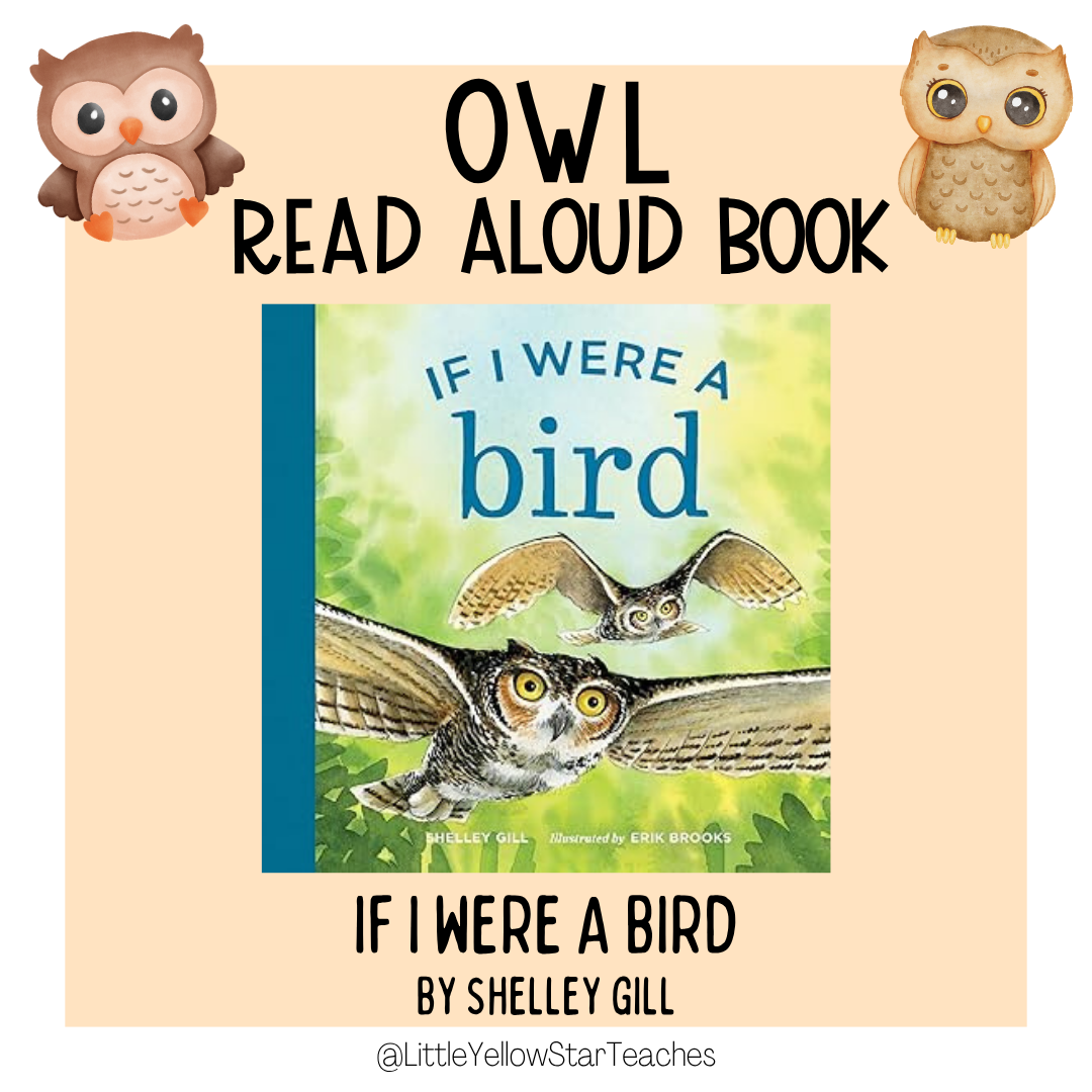 11 Owl Books for Kids - LittleYellowStar
