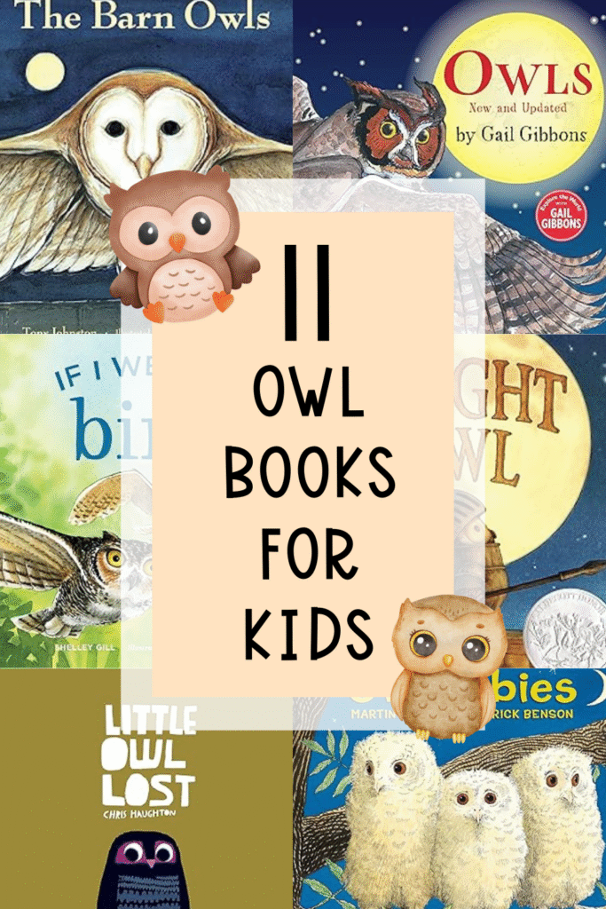 11 Owl Books for Kids - LittleYellowStar