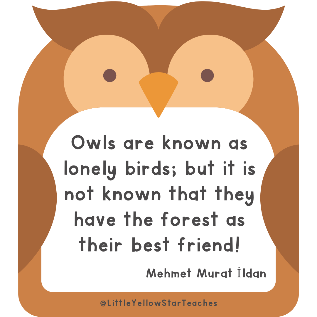 11 Owl Quotes for Kids - LittleYellowStar