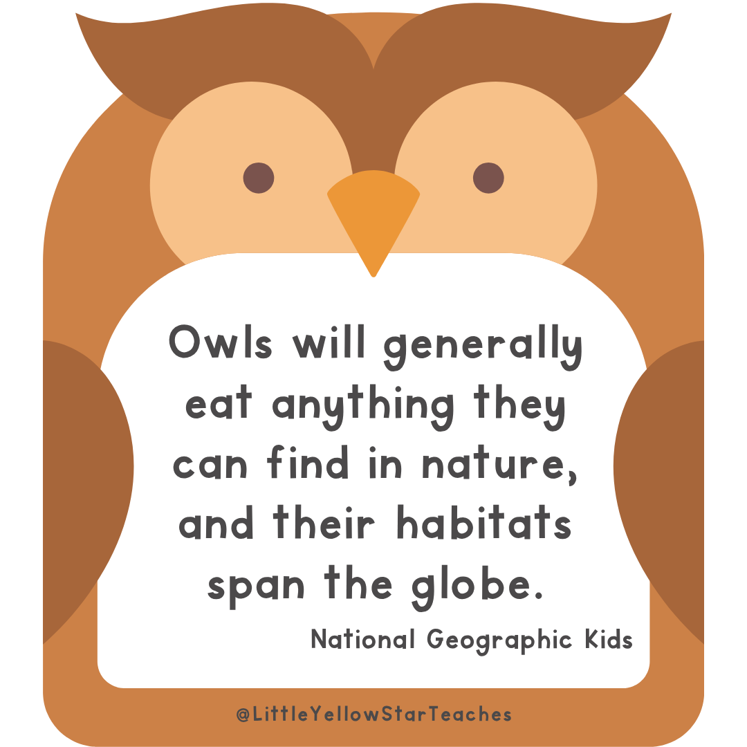 11 Owl Quotes for Kids - LittleYellowStar