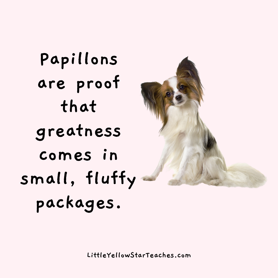 11 Papillion Quotes for Kids - LittleYellowStar