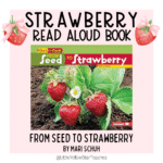 11 Strawberry Books for Kids - LittleYellowStar