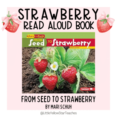 11 Strawberry Books for Kids - LittleYellowStar
