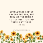 11 Sunflower Quotes for Kids - LittleYellowStar