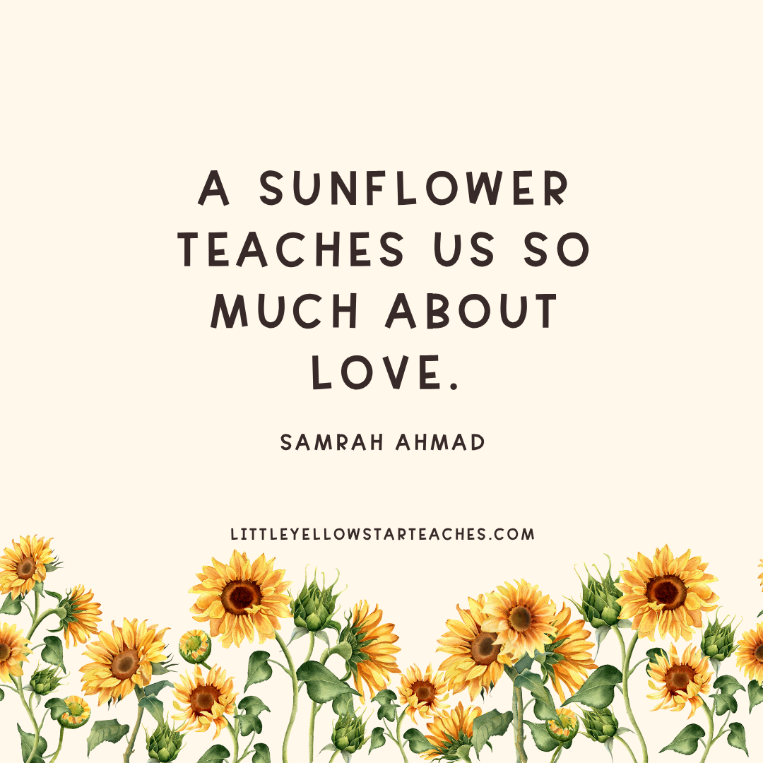11 Sunflower Quotes for Kids - LittleYellowStar