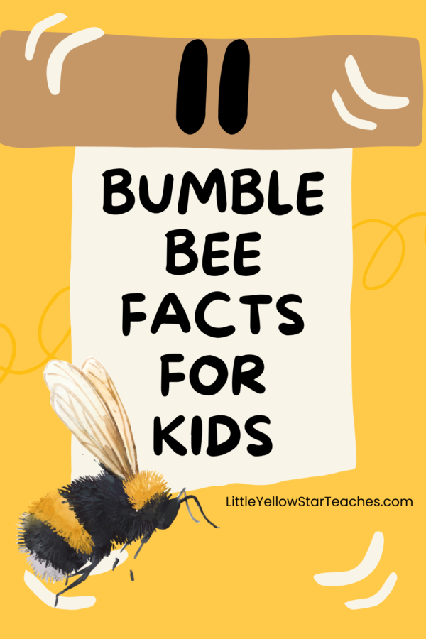 11 Bumble Bee Facts for Kids - LittleYellowStar