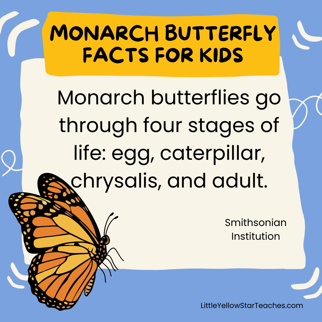 11 Monarch Butterfly Facts for Kids - LittleYellowStar