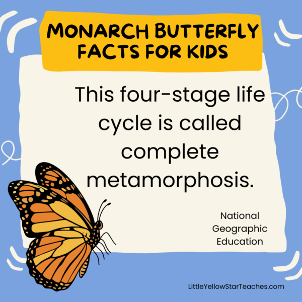 11 Monarch Butterfly Facts for Kids - LittleYellowStar