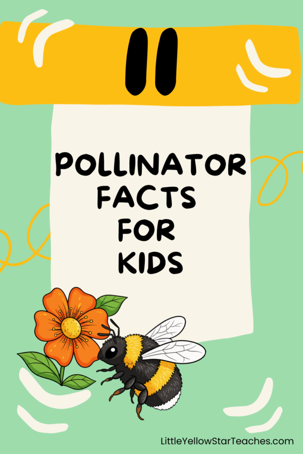 11 Pollinator Facts for Kids - LittleYellowStar