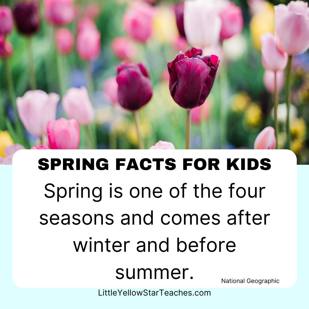 11 Spring Facts for Kids - LittleYellowStar