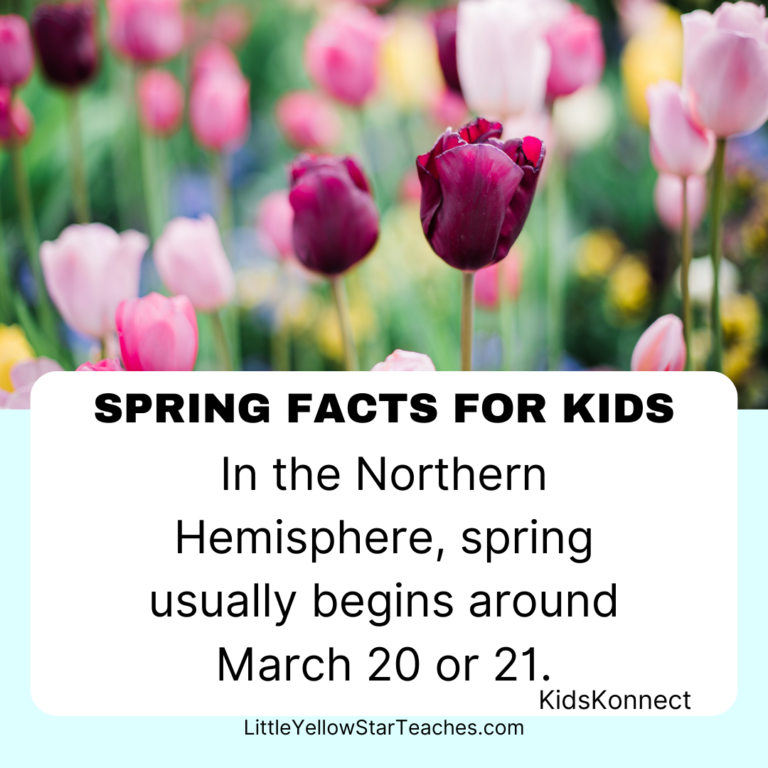 11 Spring Facts for Kids - LittleYellowStar