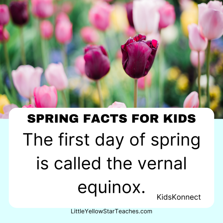 11 Spring Facts for Kids - LittleYellowStar