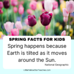 11 Spring Facts for Kids - LittleYellowStar