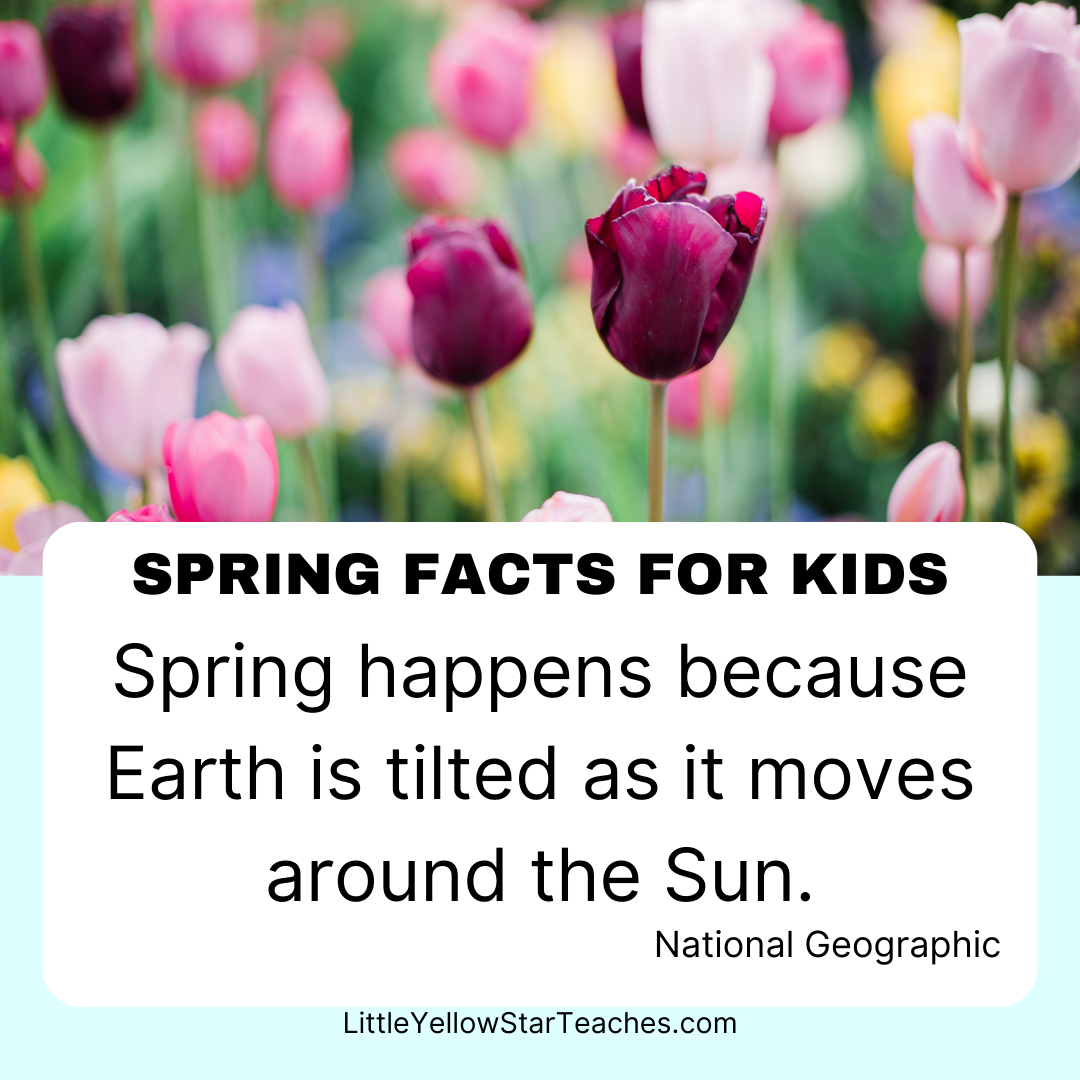 11 Spring Facts for Kids - LittleYellowStar